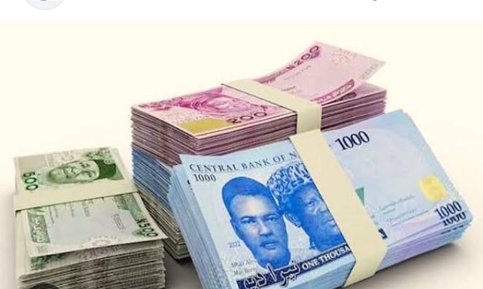 The fall of Naira, it effects and solutions - Star Nigeria News